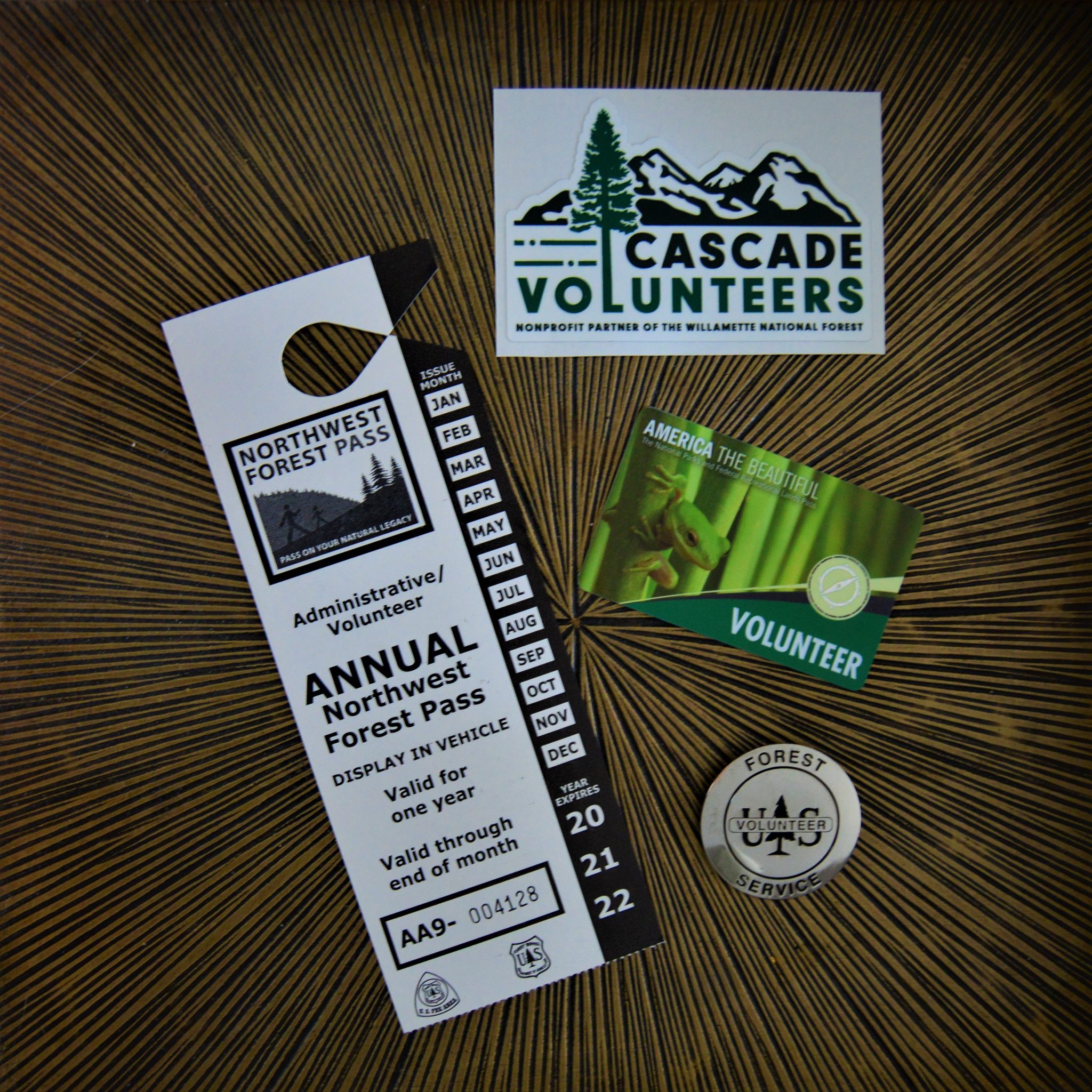 Volunteer With Us